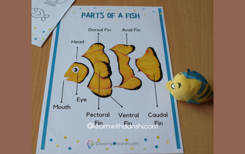 23 Fantastic Letter F Activities and Crafts for Preschool Kids ...